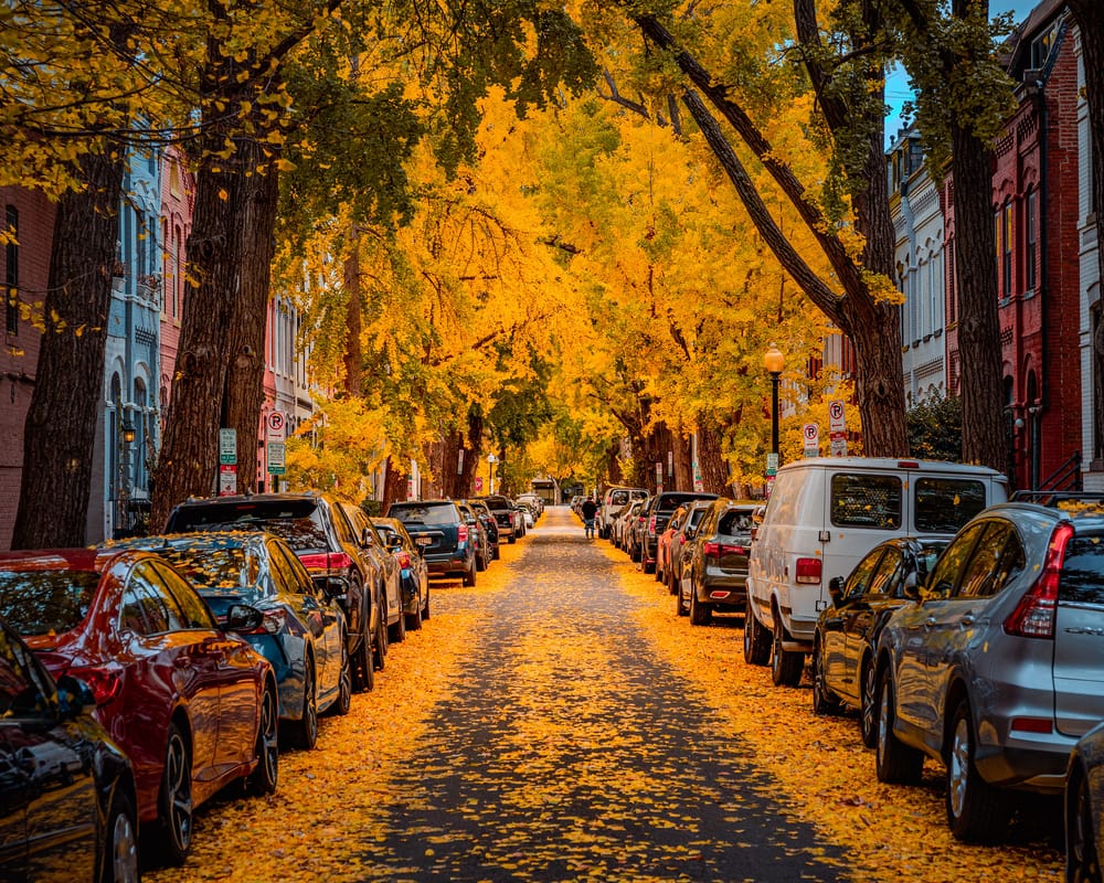 The 51st — Washington, DC local news